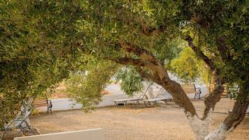 Apartamento, 1 quarto, fumadores, terraço | Terraço/pátio interior