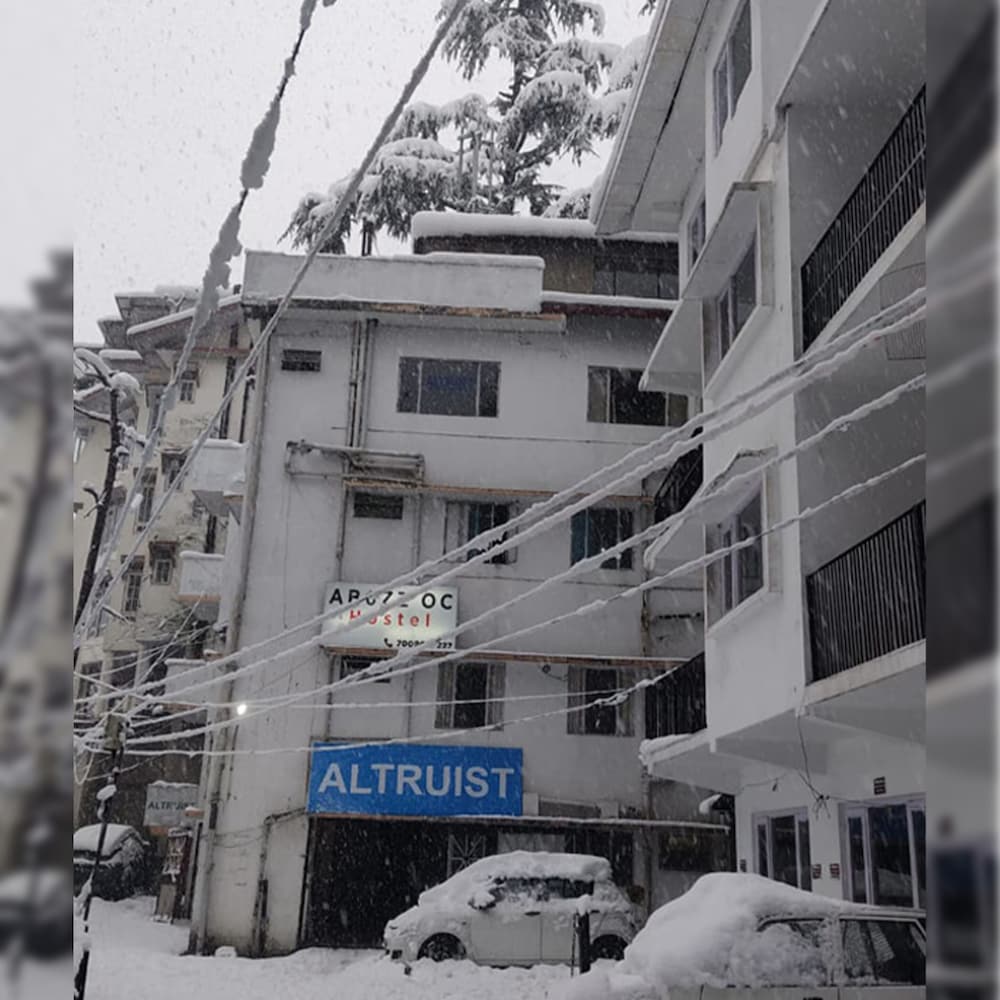 Abuzz Oxfordcaps Shimla - Hostel - Shimla