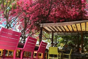 Jardim