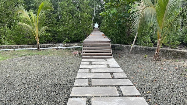 Uma passagem por um jardim com fronteira de pedra e palmeiras.