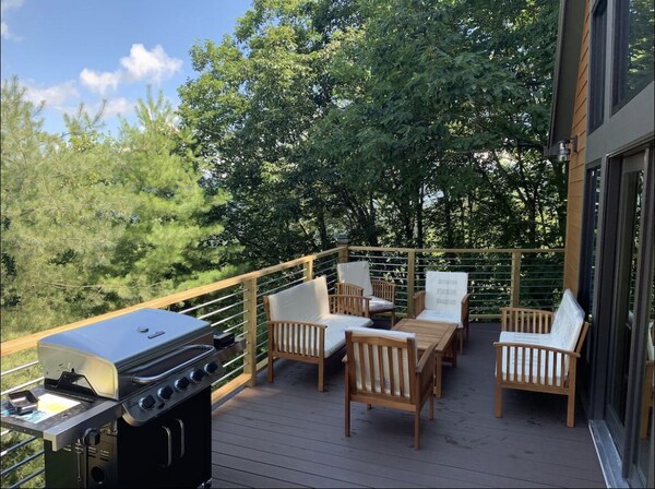 Town Mountain Views - 3 Miles From Downtown Asheville - Asheville, NC