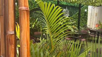Terraço/pátio interior