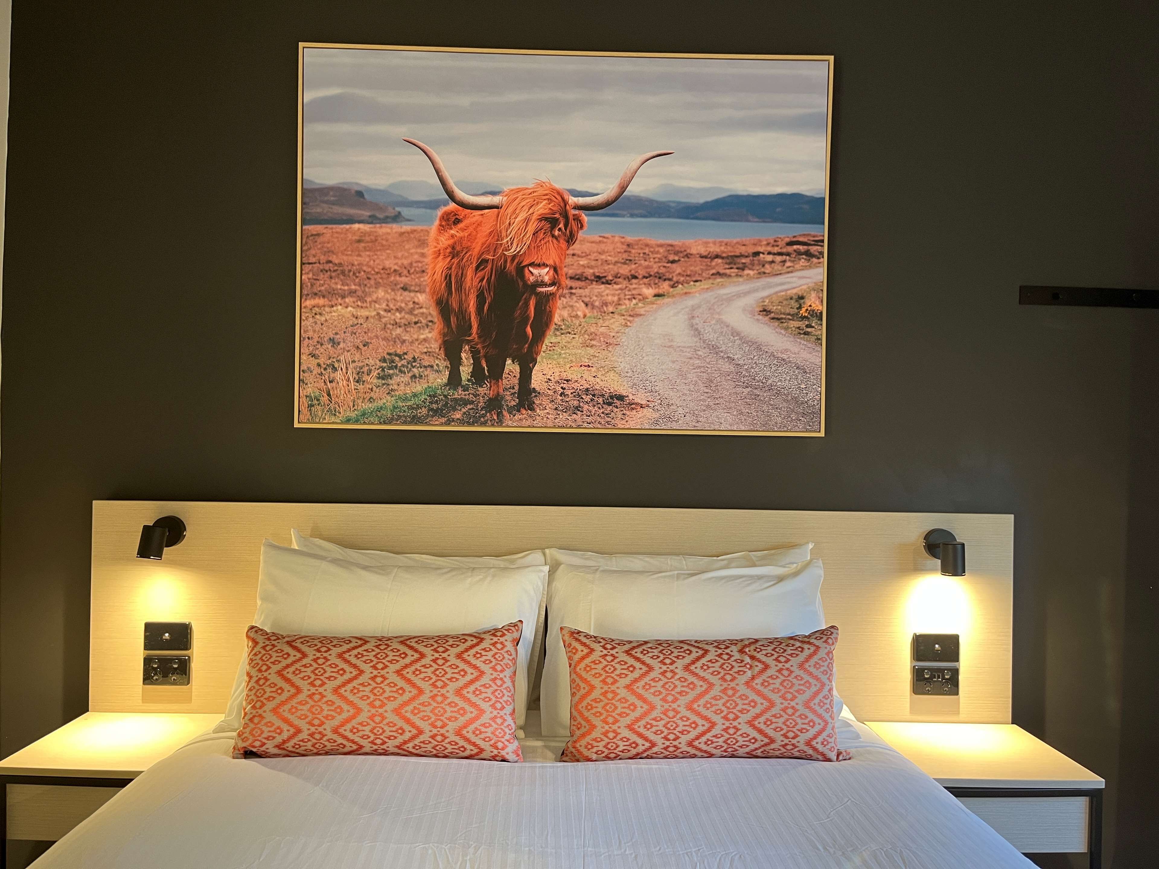 Quarto de hotel com uma cama grande, duas almofadas estampadas, um quadro de uma vaca das Terras Altas na parede e luminárias de cabeceira.