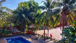 Piscina rodeada por palmeiras e um deque de madeira com bancos.