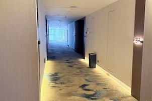 Corredor de hotel com piso carpete, um cesto de lixo e uma porta com placa de número.