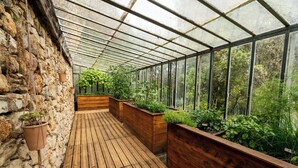 Uma estufa com deck de madeira, paredes de pedra e diversas plantas.