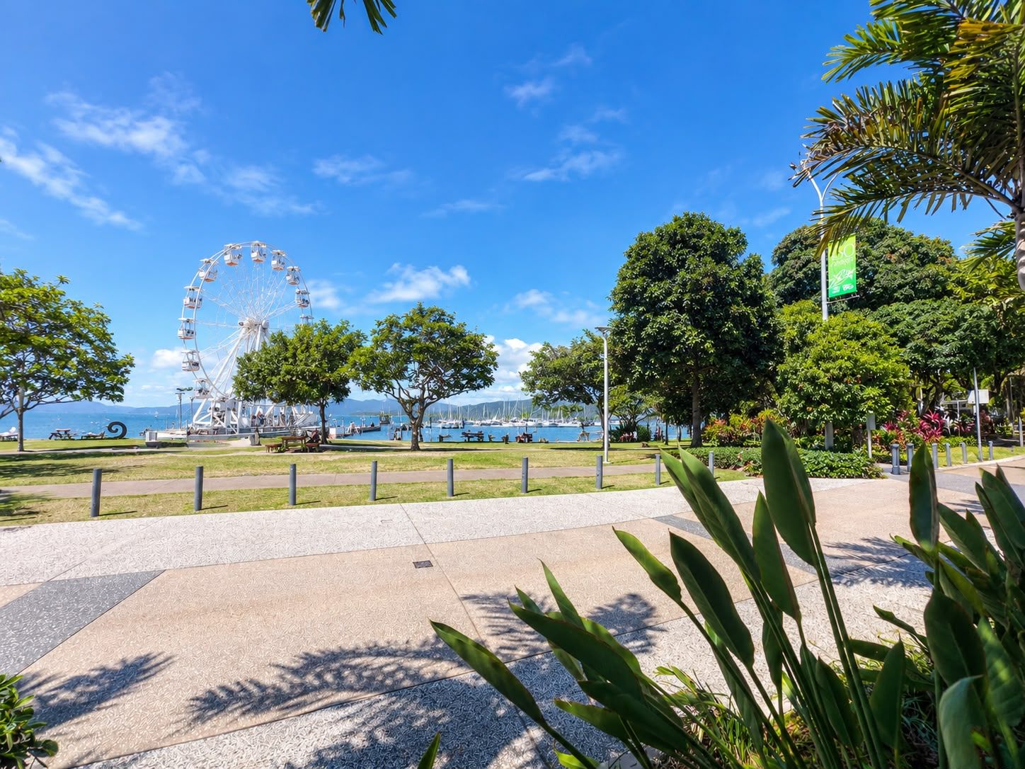 Um parque com roda gigante, árvores e céu claro.