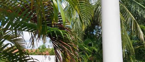 Área de piscina com um pilar branco, palmeiras e um céu azul límpido.