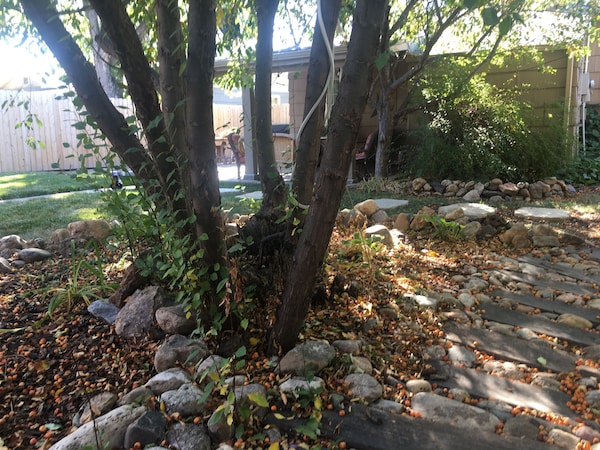Backyard Oasis In The Heart Of Rapid City! 5 Min From Dwtn - Rapid City, SD