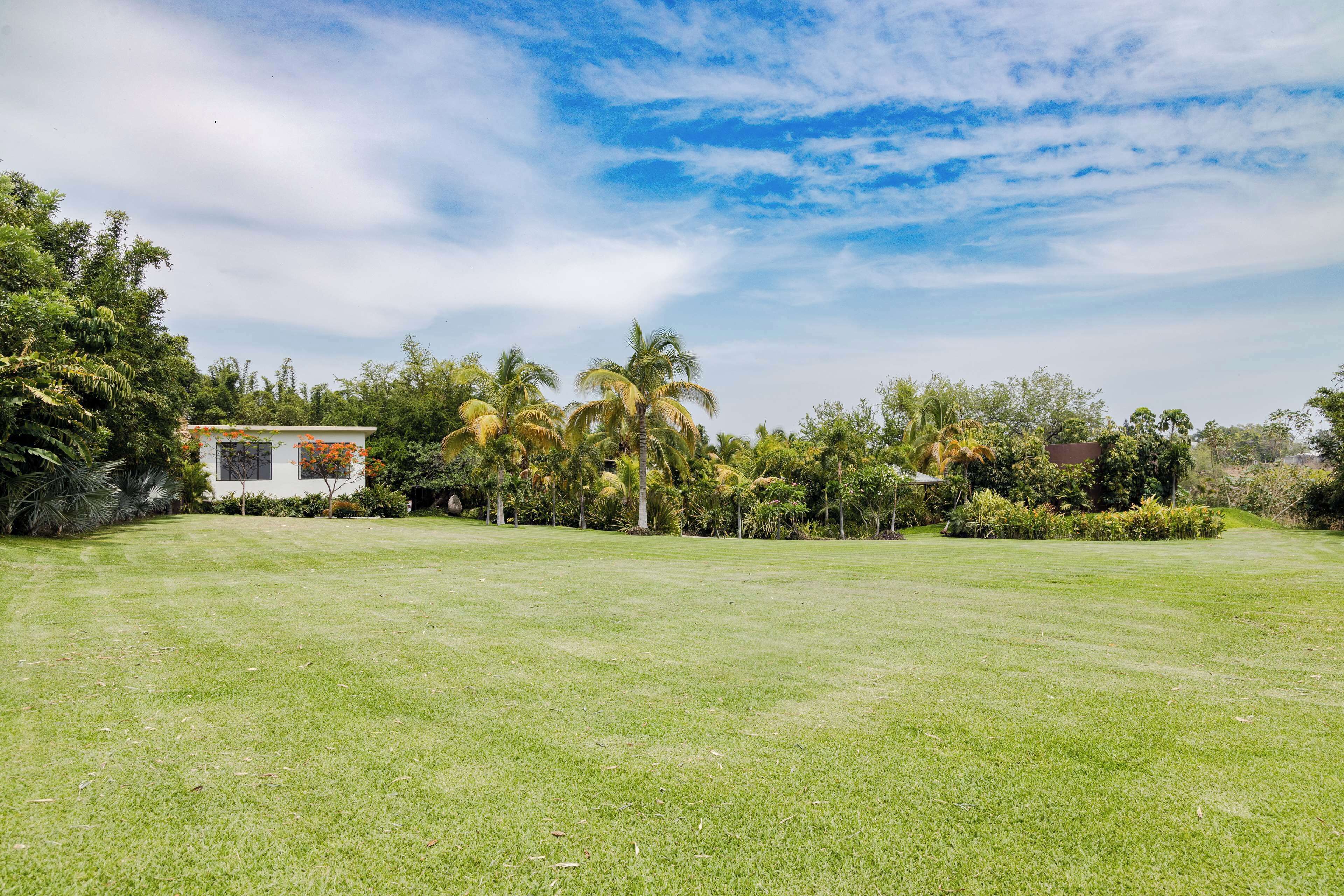 Uma área gramada com um edifício, palmeiras e vegetação densa.