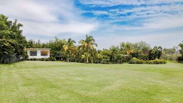 Uma área gramada com um edifício, palmeiras e vegetação densa.
