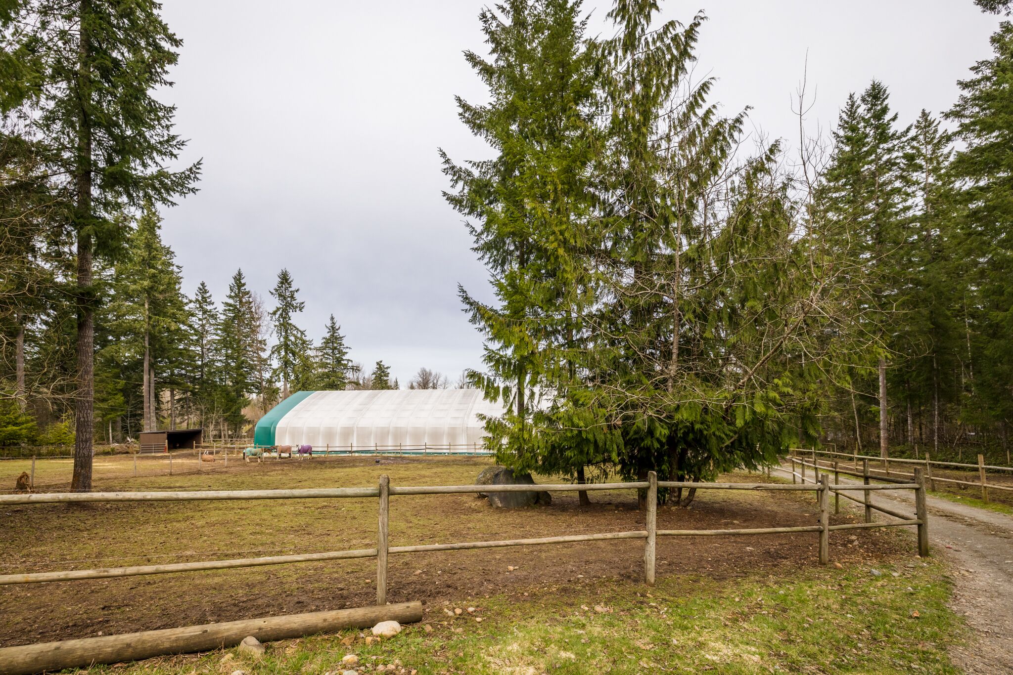 10 Best Ranches To Stay In Canada - Updated 2024 | Trip101