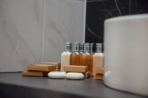 Quarto Duplo de Luxo | Casa de banho | Um polibã, artigos de higiene pessoal grátis, um secador de cabelo 