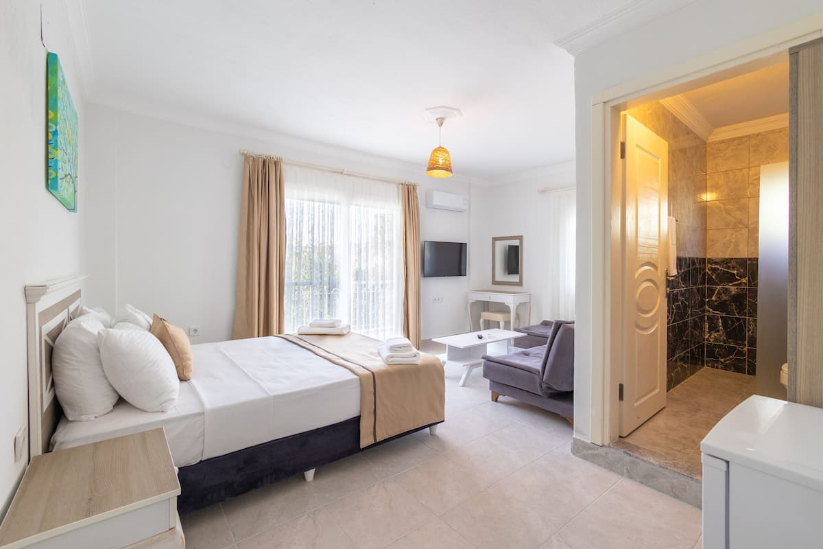 Quarto de hotel com cama, escrivaninha, cadeira, televisão e área de chuveiro.