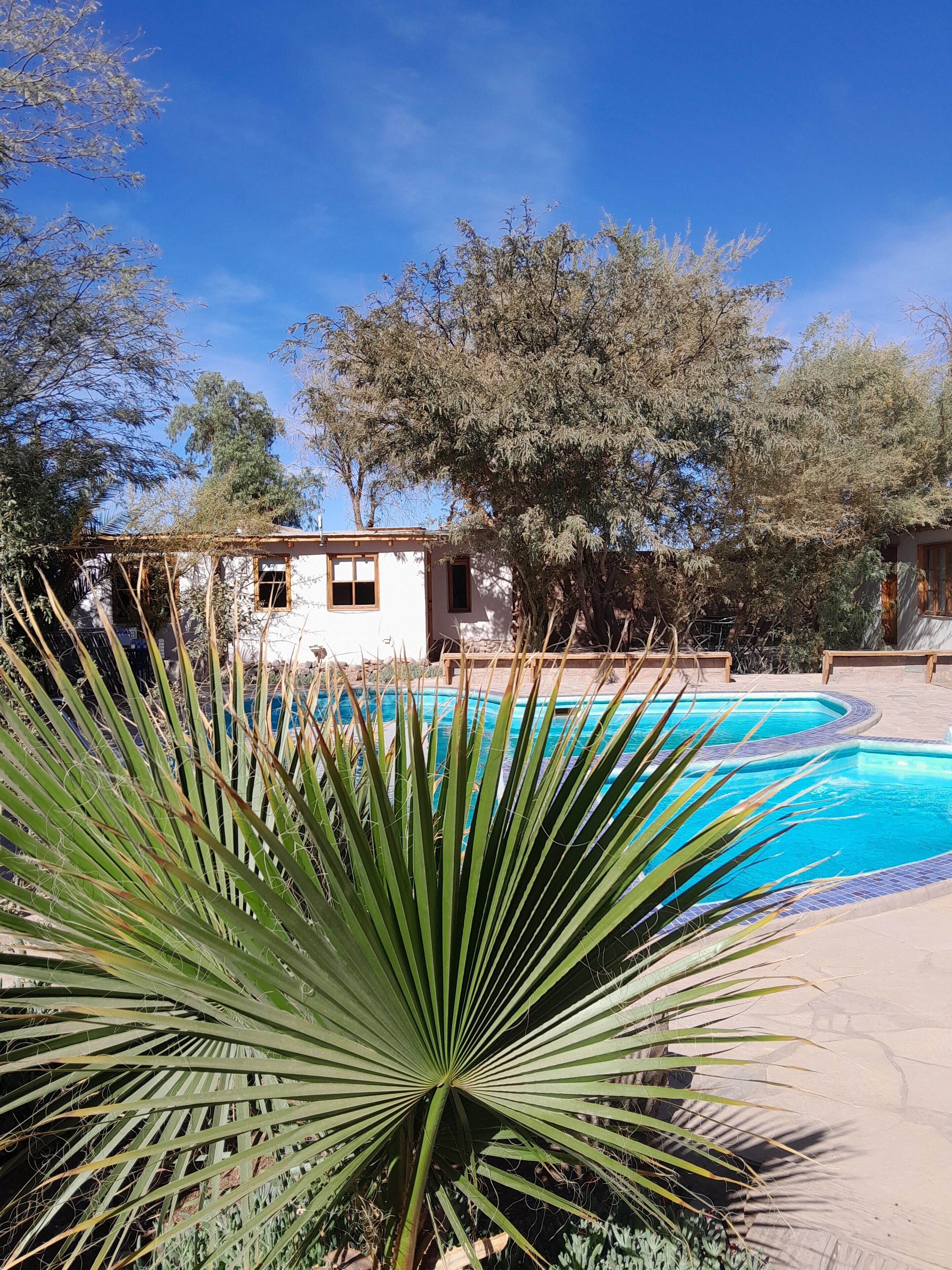 Piscina com água azul cristalina, rodeada por árvores e um pequeno edifício.