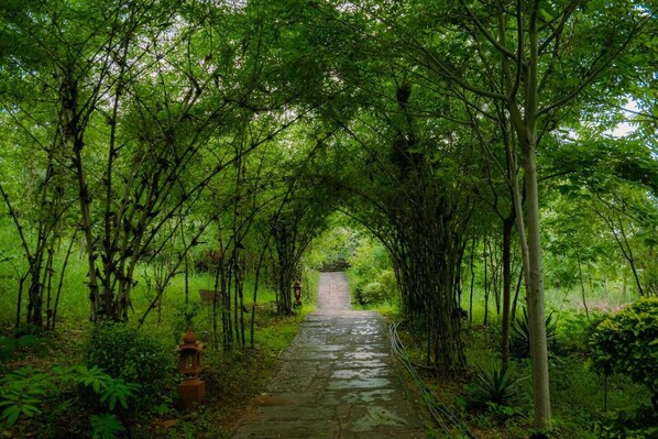 Entrada (vista interior)