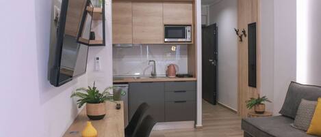 Estúdio, 1 quarto, acessível, Vista para a cidade | Interior