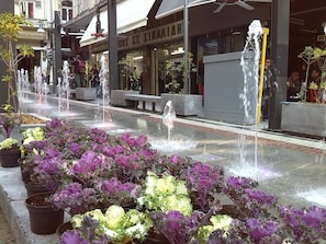 Rua com várias fontes e plantas em vasos.