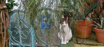 Entrada do alojamento