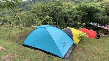 Tenda Standard
