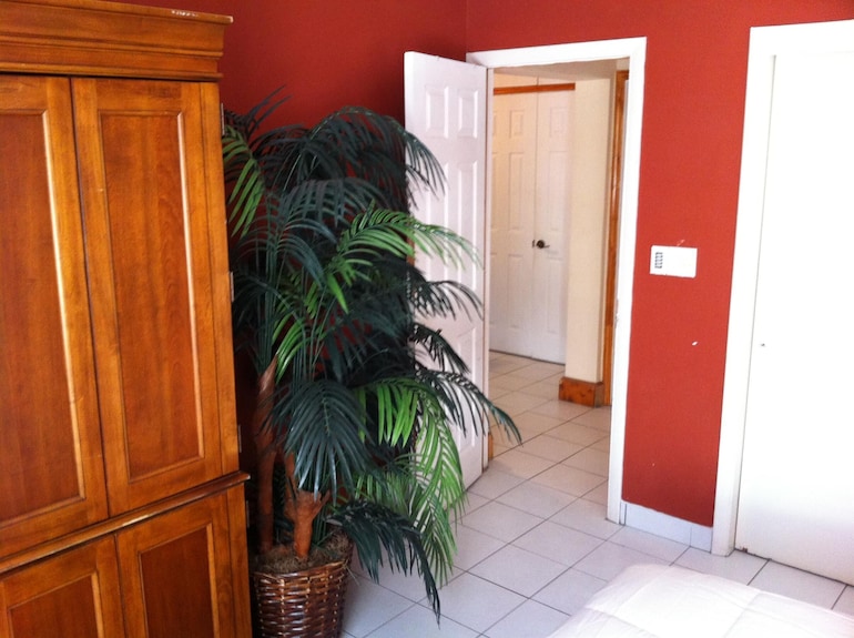 Tangerine Sunsets Tangelo - Nassau