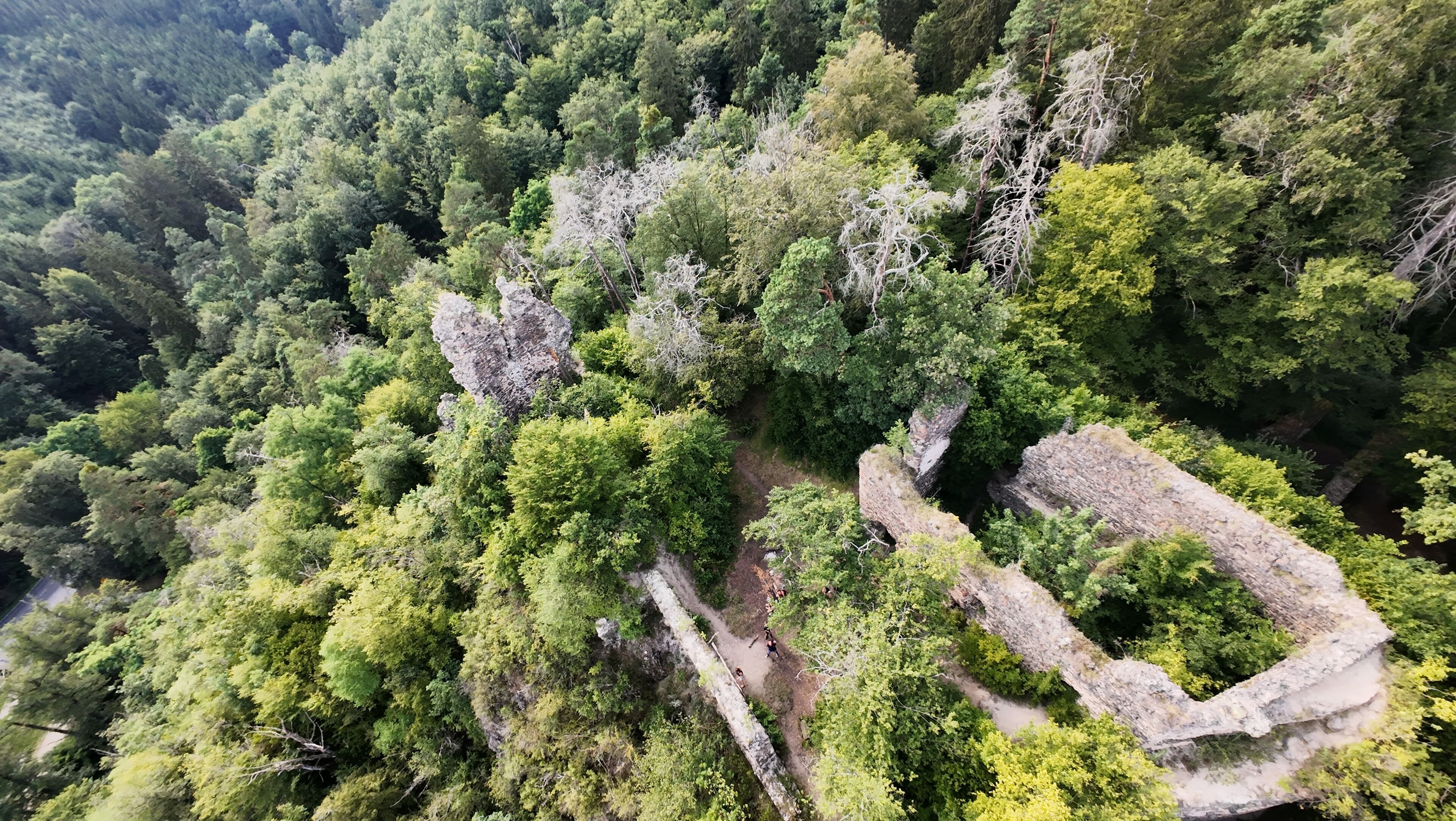 Uma área arborizada com um caminho sinuoso e uma grande formação rochosa.