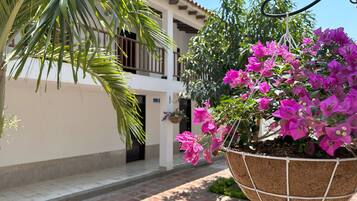 Quarto Triplo Standard | Terraço/pátio interior