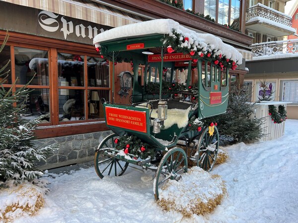 Spannort Your Family Home With Common Kitchen And Self Check-in - Engelberg