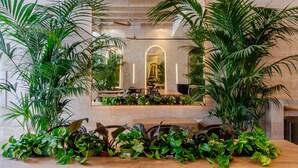 Um interior moderno com um espelho grande refletindo uma área de jantar, rodeada por plantas verdes exuberantes.
