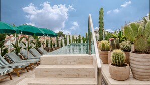Uma área de piscina no terraço com espreguiçadeiras e guarda-sóis, cercada por cactos e suculentas em vasos.