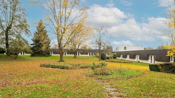 Jardim