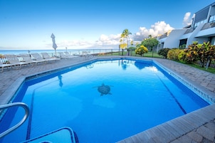 Apartamento em Condomínio Fechado, vista para o oceano (NAP-B13) | Piscina | Piscina exterior