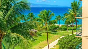 Um resort tropical com vista para o oceano, palmeiras e um caminho que leva a uma praia.