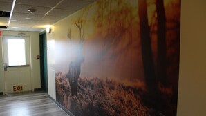 Corredor com um mural de veados e árvores, uma placa de saída e piso de madeira.