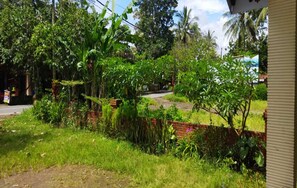 Entrada (vista interior)