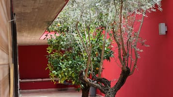Terraço/pátio