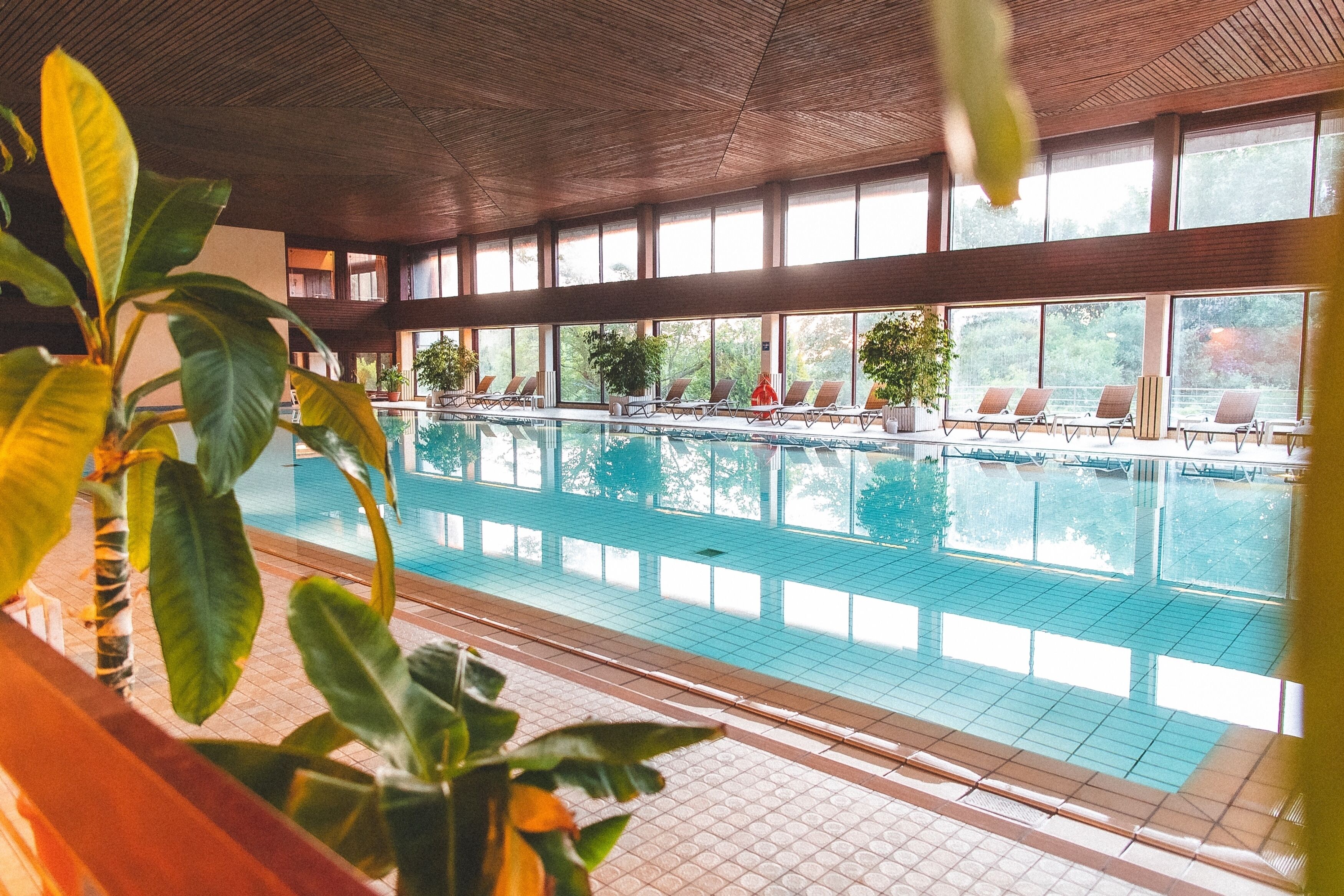 Piscina interna com vista clara da área circundante, incluindo teto de madeira e janelas amplas.