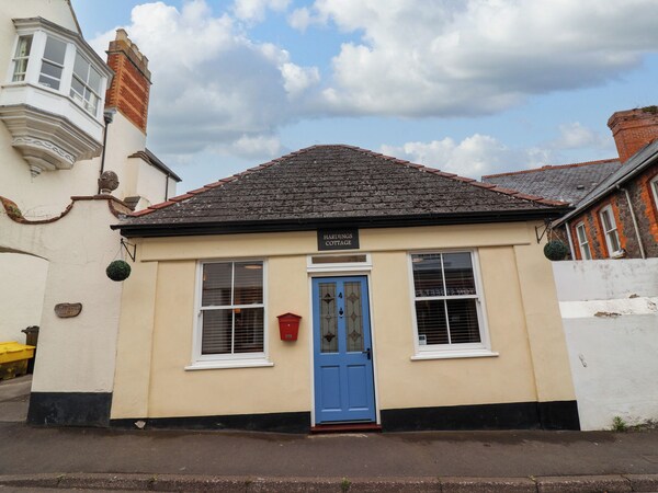 Hardings Cottage - Minehead