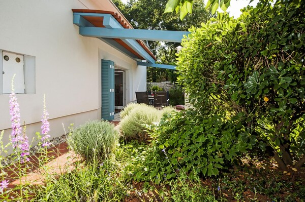 Villa Ferenc Zadarvillas - Rovinj