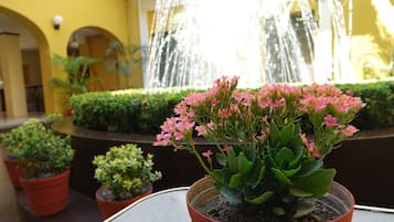 Terraço/pátio interior