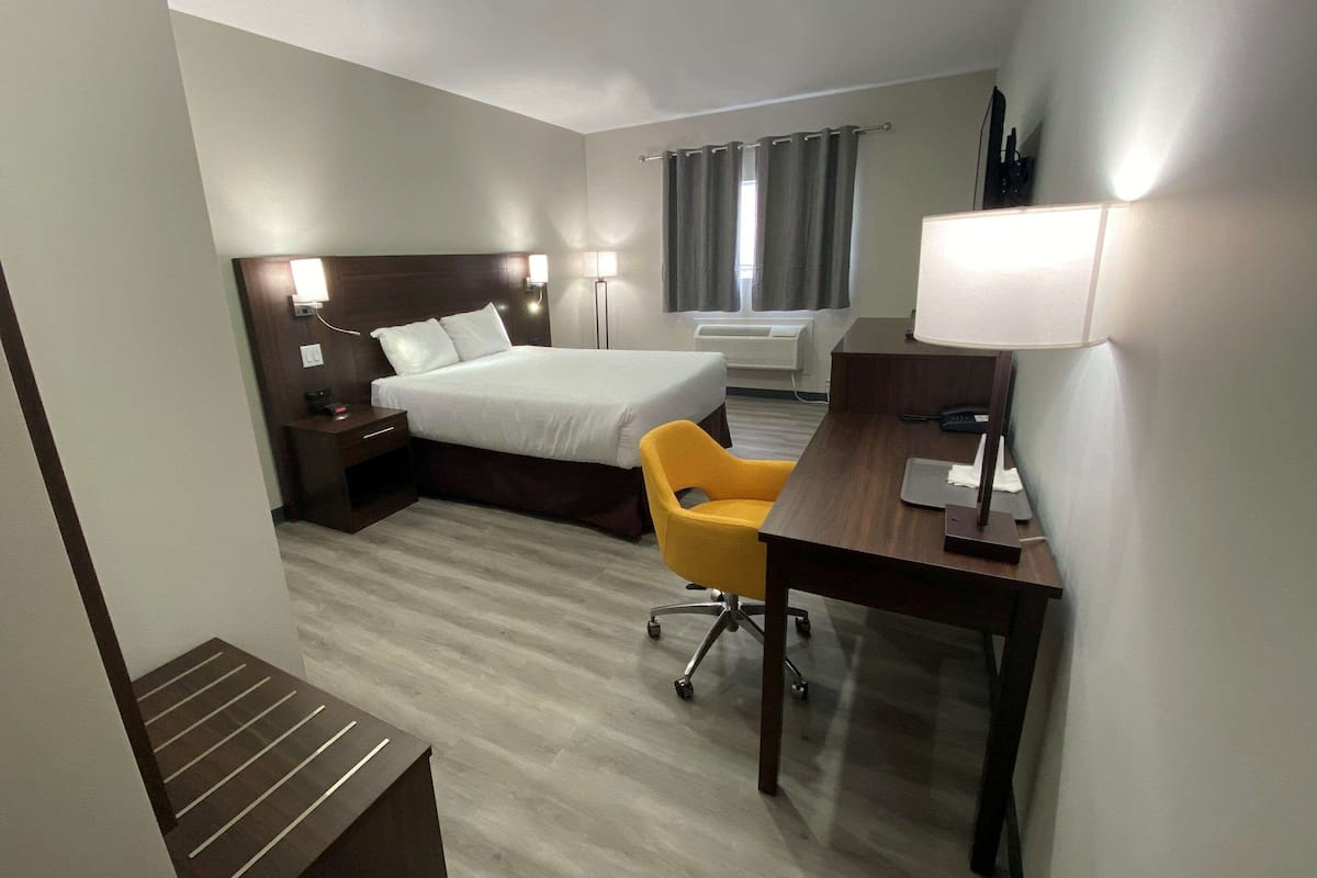Quarto de hotel com cama, escrivaninha, cadeira e uma pequena lixeira.