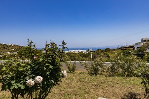 Terraço/pátio interior