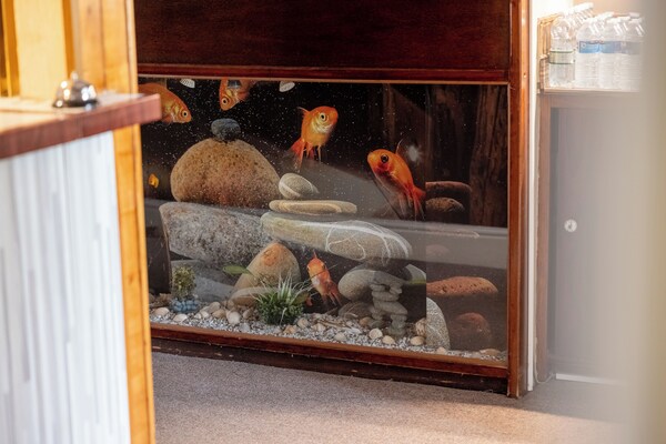 Lansdowne Hotel - Leamington Spa