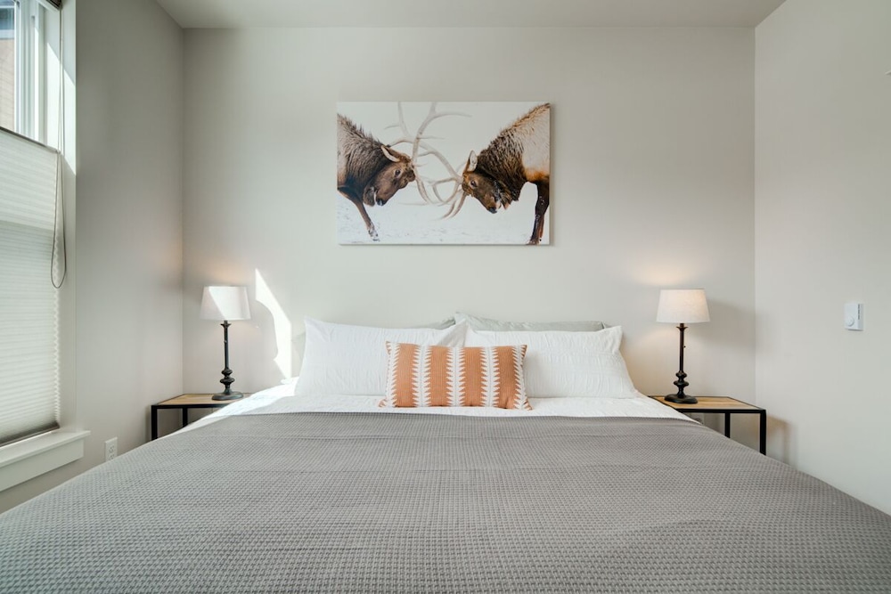 Montana Modern Condo Close To Shopping And The Yellowstone River. - Livingston, MT