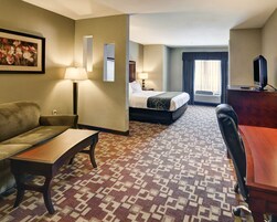 Quarto de hotel com cama, sofá, escrivaninha, televisão e tapete estampado.
