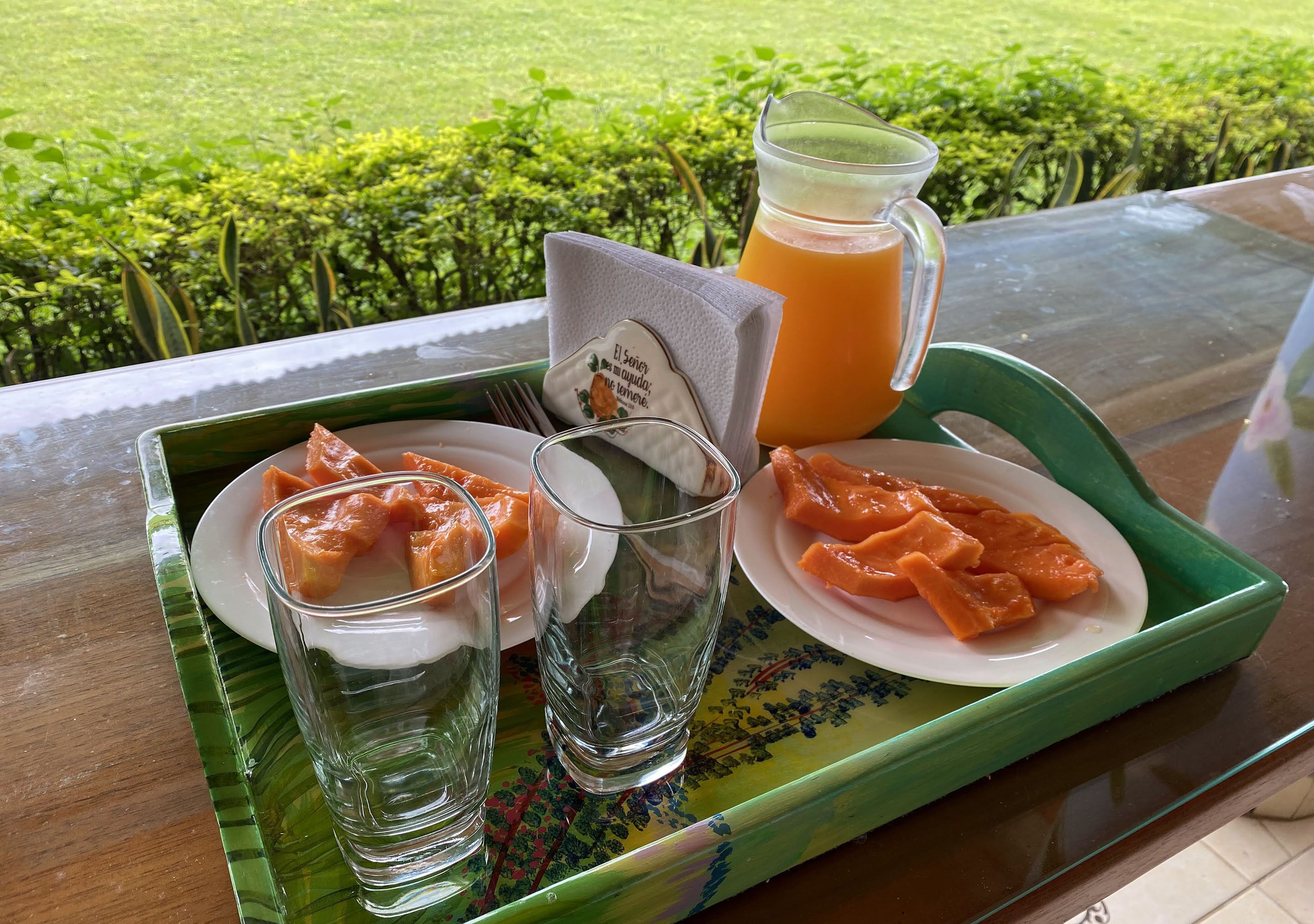 Uma bandeja com pratos de comida, copos e um jarro de suco sobre uma mesa com vista para um jardim verde.