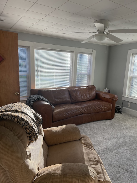 Granny Rubys Cottage Near Tiec - North Carolina