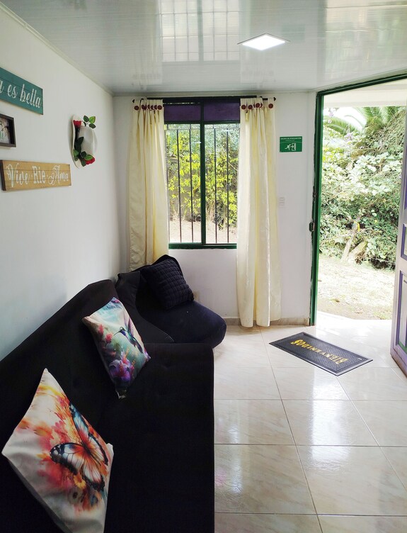 Frailejones In Salento - Salento