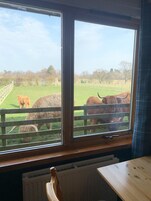 Vorlich Lodge | Sala de estar | Televisor de ecrã plano de 32 polegadas com canais digitais, televisor 