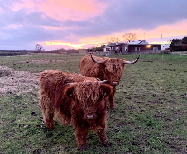Orchard House Lodges - Fife